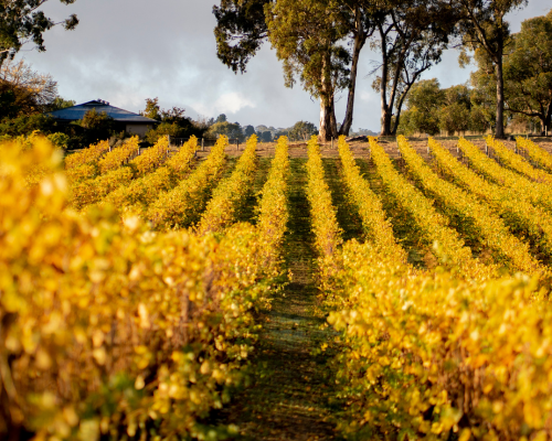 Adelaide Hills Wine | Hahndorf Hill Winery | South Australia.